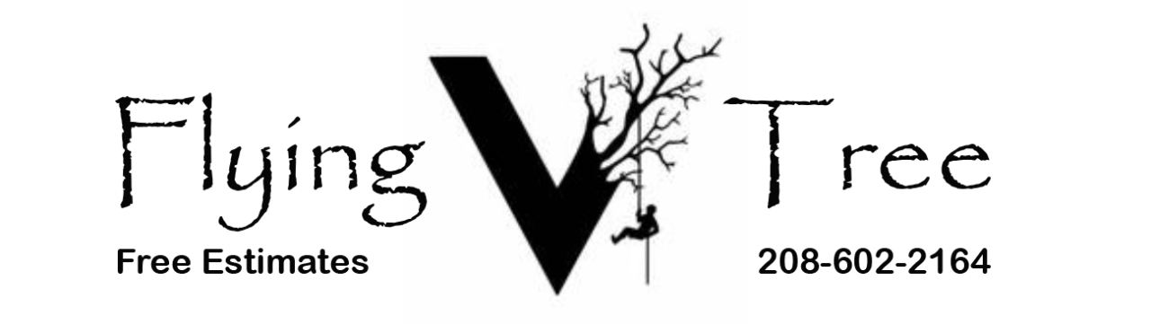 Flying V Tree | Tree Services